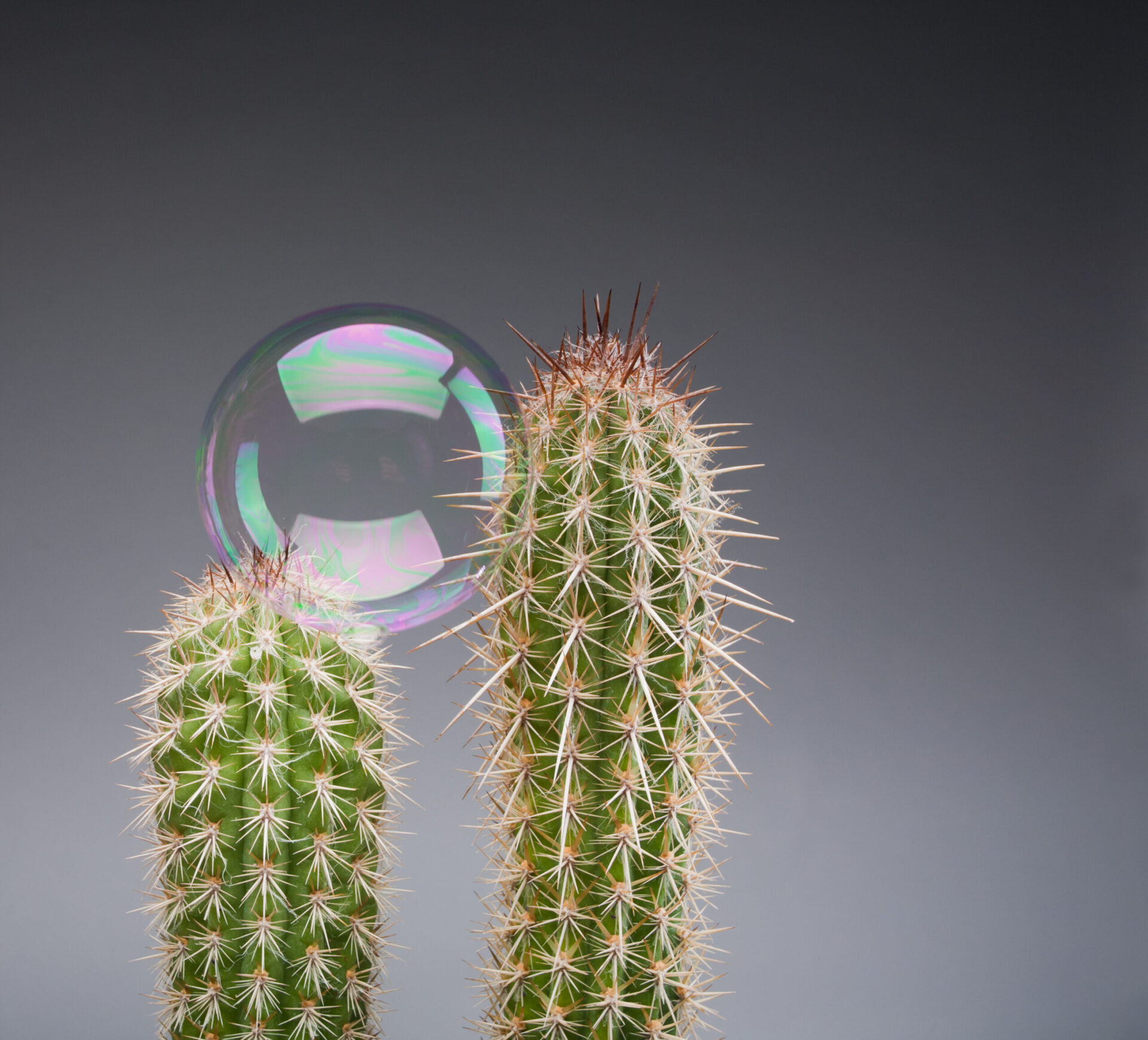 What Happens When the Bubble Bursts – RBESG